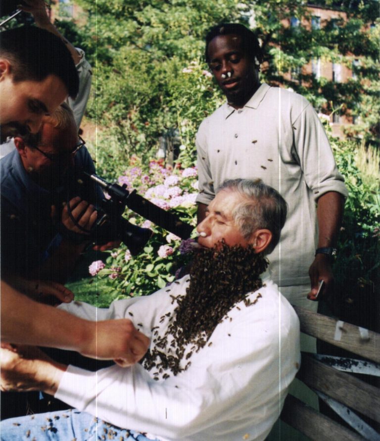 Clinton Community Garden – Providing green sanctuary and soil to till ...